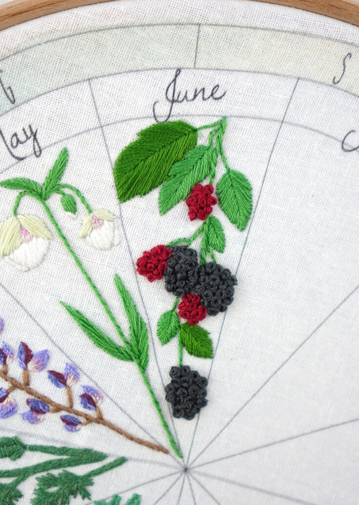 Blackberry Embroidery – June Phenology - Cutesy Crafts