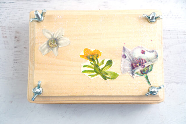 How to Make a Flower Press - Cutesy Crafts