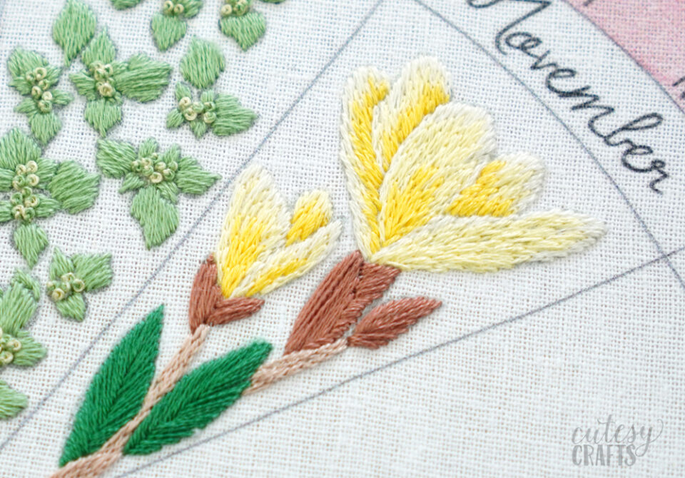 Evening Primrose - November Phenology - Cutesy Crafts