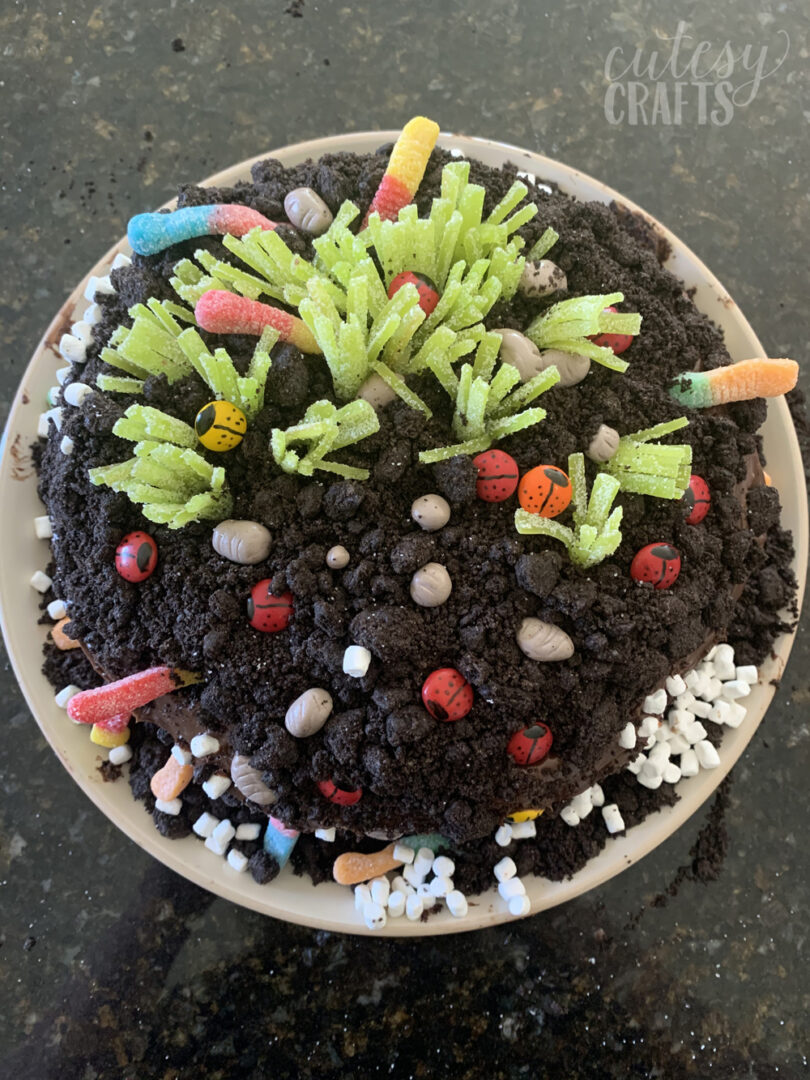 Easy DIY Bug Birthday Cake - Cutesy Crafts