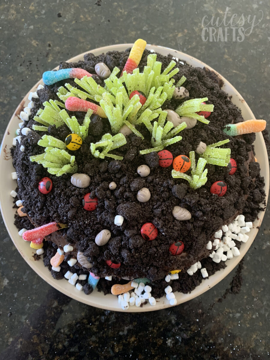 Easy DIY Bug Birthday Cake - Cutesy Crafts