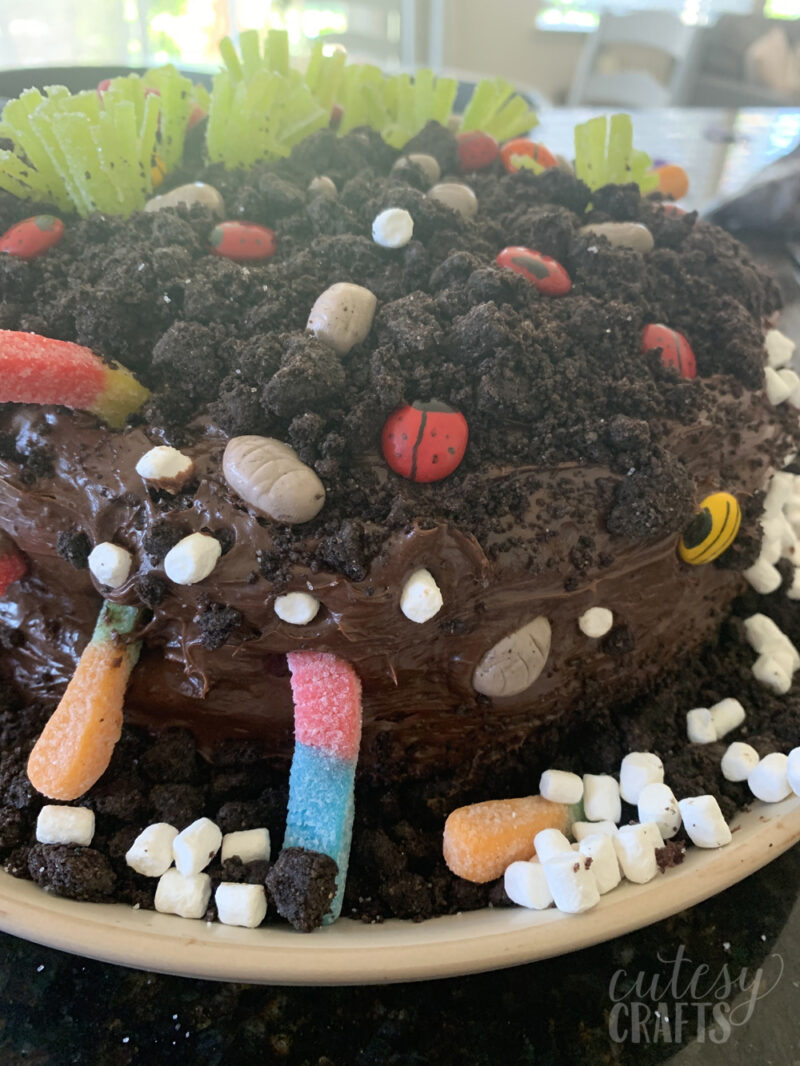 Easy DIY Bug Birthday Cake - Cutesy Crafts