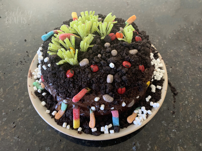 Easy DIY Bug Birthday Cake - Cutesy Crafts