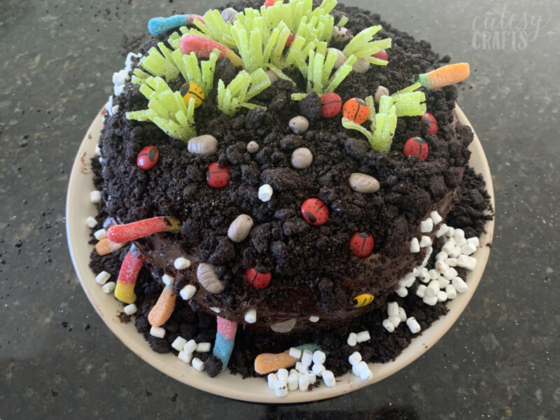 Easy DIY Bug Birthday Cake - Cutesy Crafts